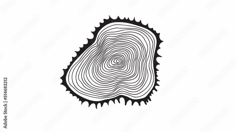 Rings of the old cross cut tree trunk motion graphic animation. Wooden ...