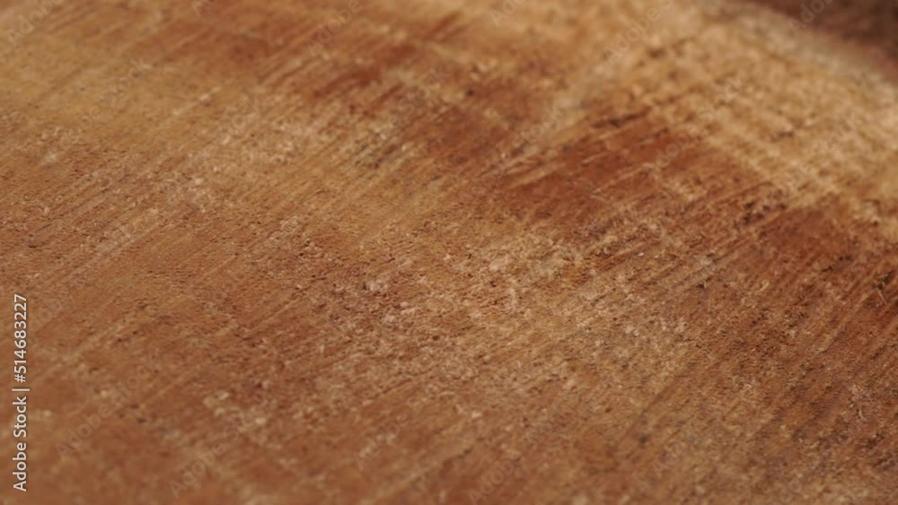 Structure of a stump fibre and bark from a saw cut tree trunk. Plant ...