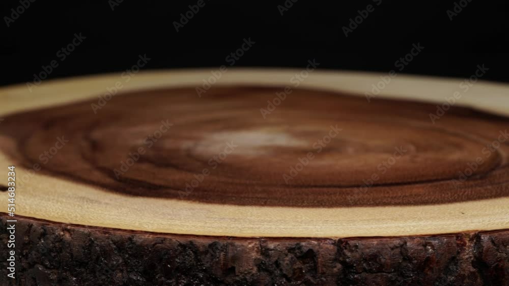 Vidéo Stock Old Ash tree rings texture close up. Selective focus ...