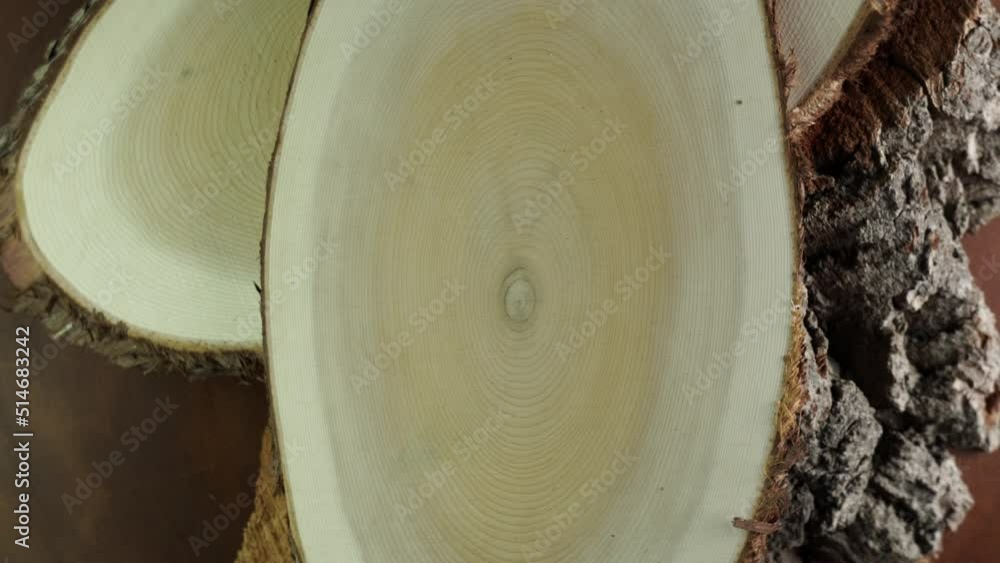 Vidéo Stock Old Ash tree rings texture close up. Wooden circle stump ...