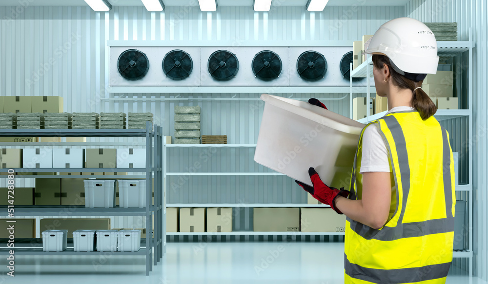 Refrigerator in warehouse. Warehouse worker inside freezer. Freezer is ...
