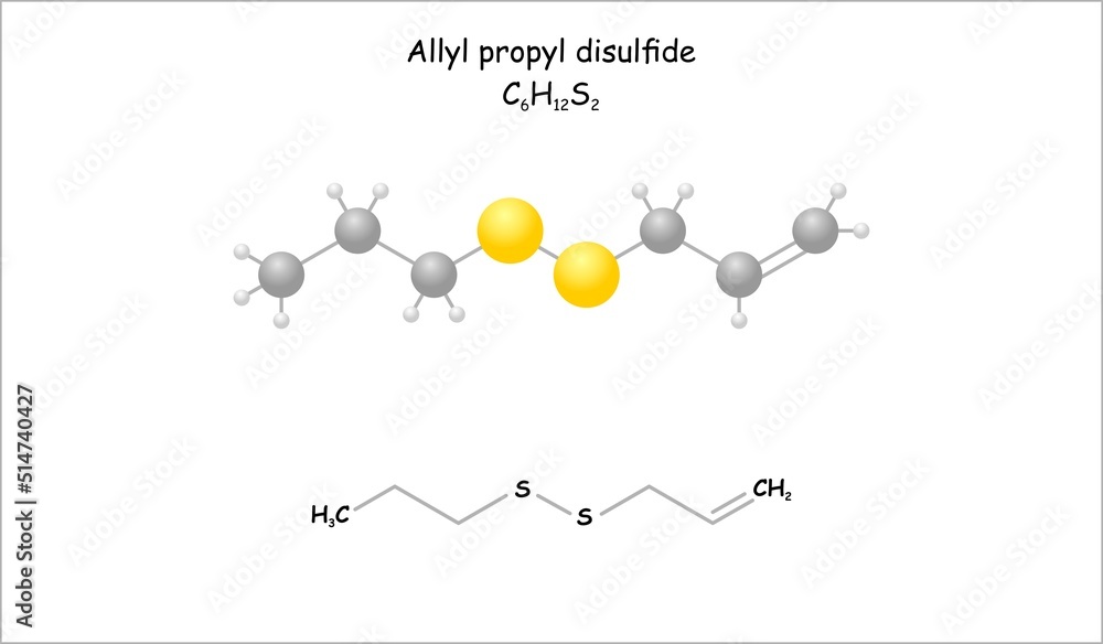 Stylized molecule model/structural formula of allyl propyl disulfide ...