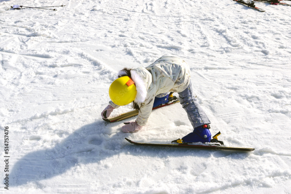 Daemyung Vivaldi Park ski resorts, attractions, famous and popular in ...