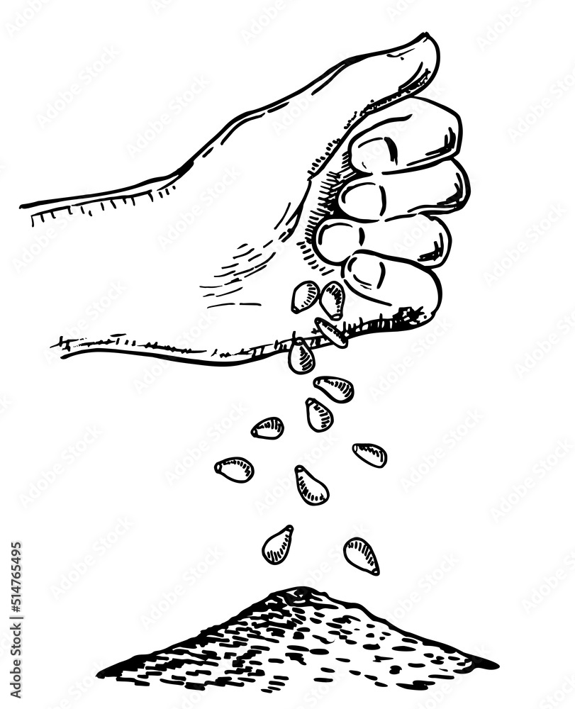 Hand sowing seeds. Vector sketch illustration with hand putting seed to ...