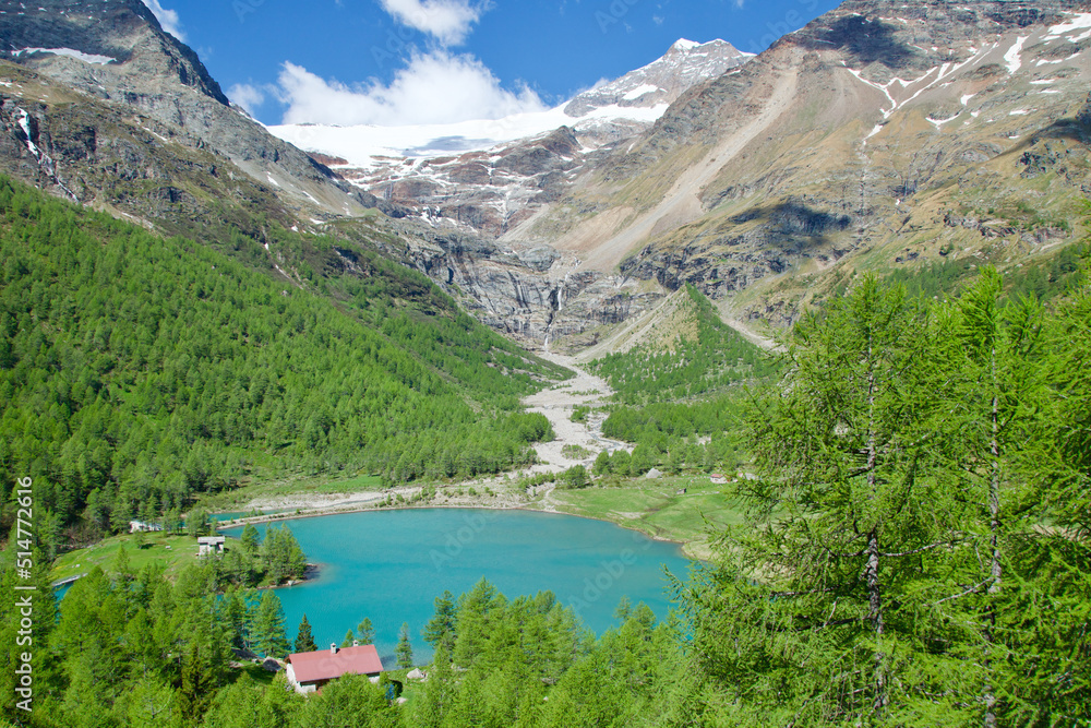 The famous Bernina Express Train passing through Al Grum Lake in ...