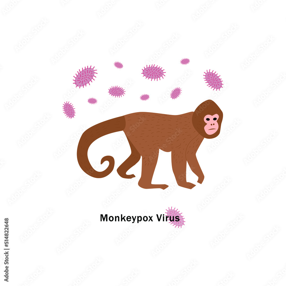 Monkeypox. Vector illustration of the new virus 2022 - monkeypox ...