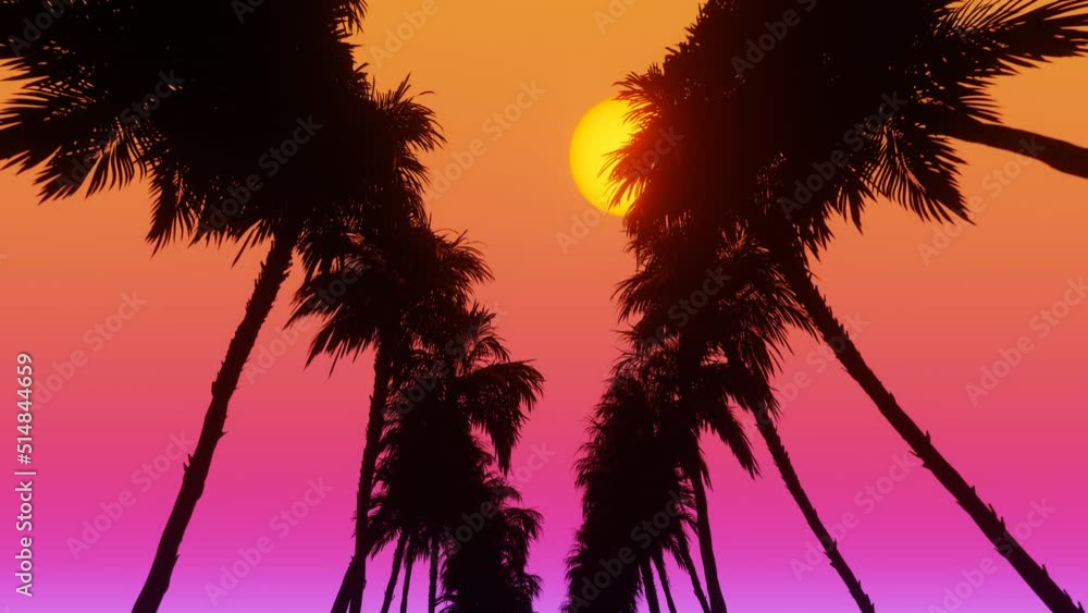 Movement through palm alley bottom view of coconut palm trees in ...