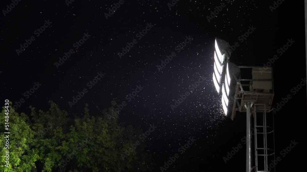 Swarm of insects and mosquitoes around the lamp of an electric ...