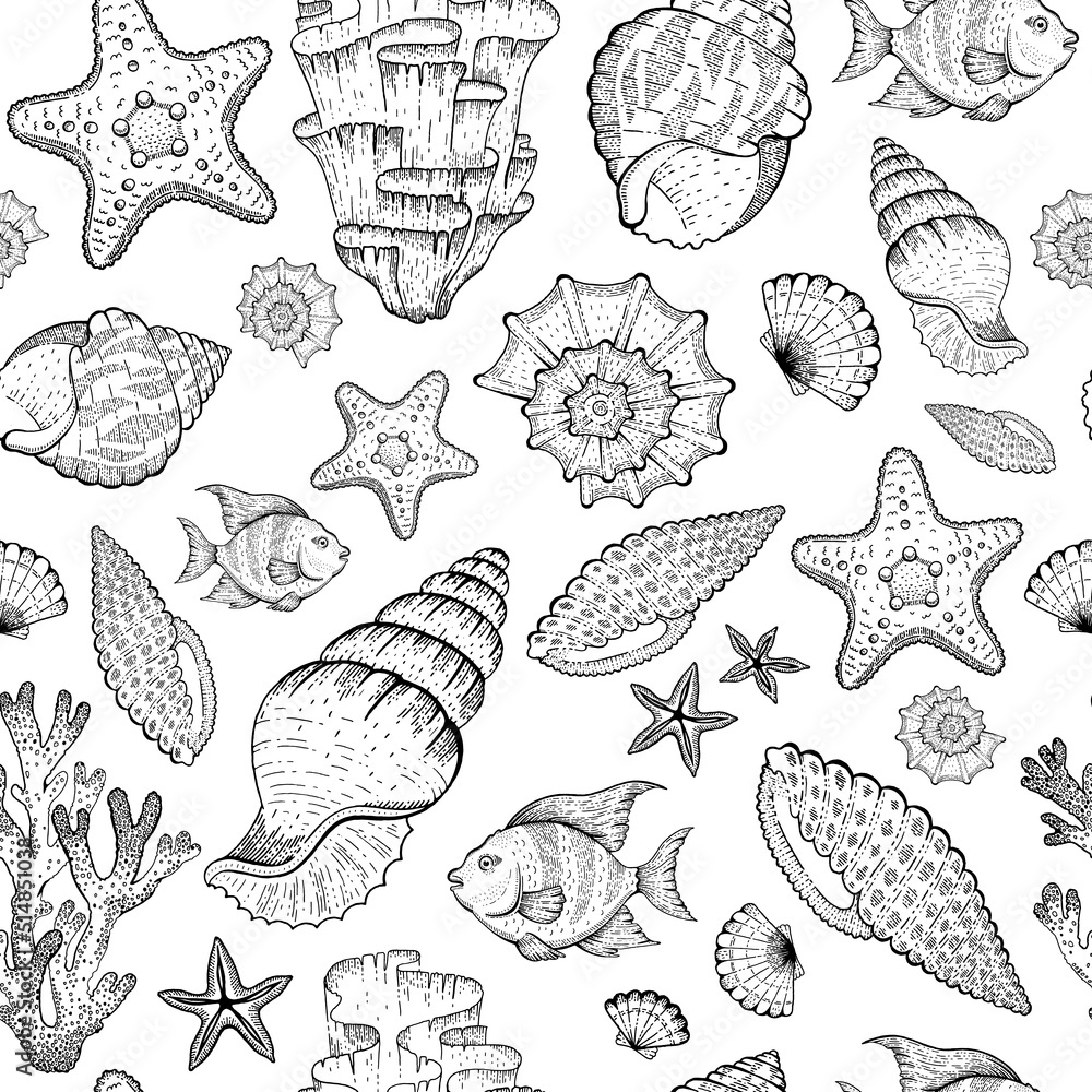Sea pattern with seashell, coral reef, starfish, algae. Vector seamless ...