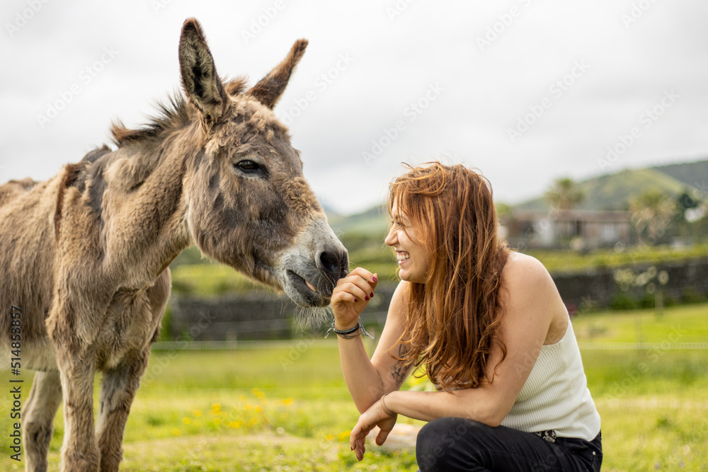 Girl with donkey, farm animals, having fun together, outdoors. Stock ...