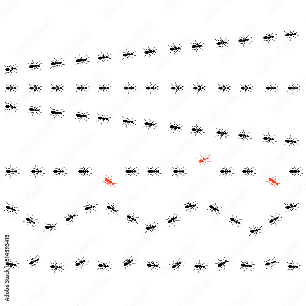 Ants trail set, lines of working ants on white background. Groups of insect marching or walking ...