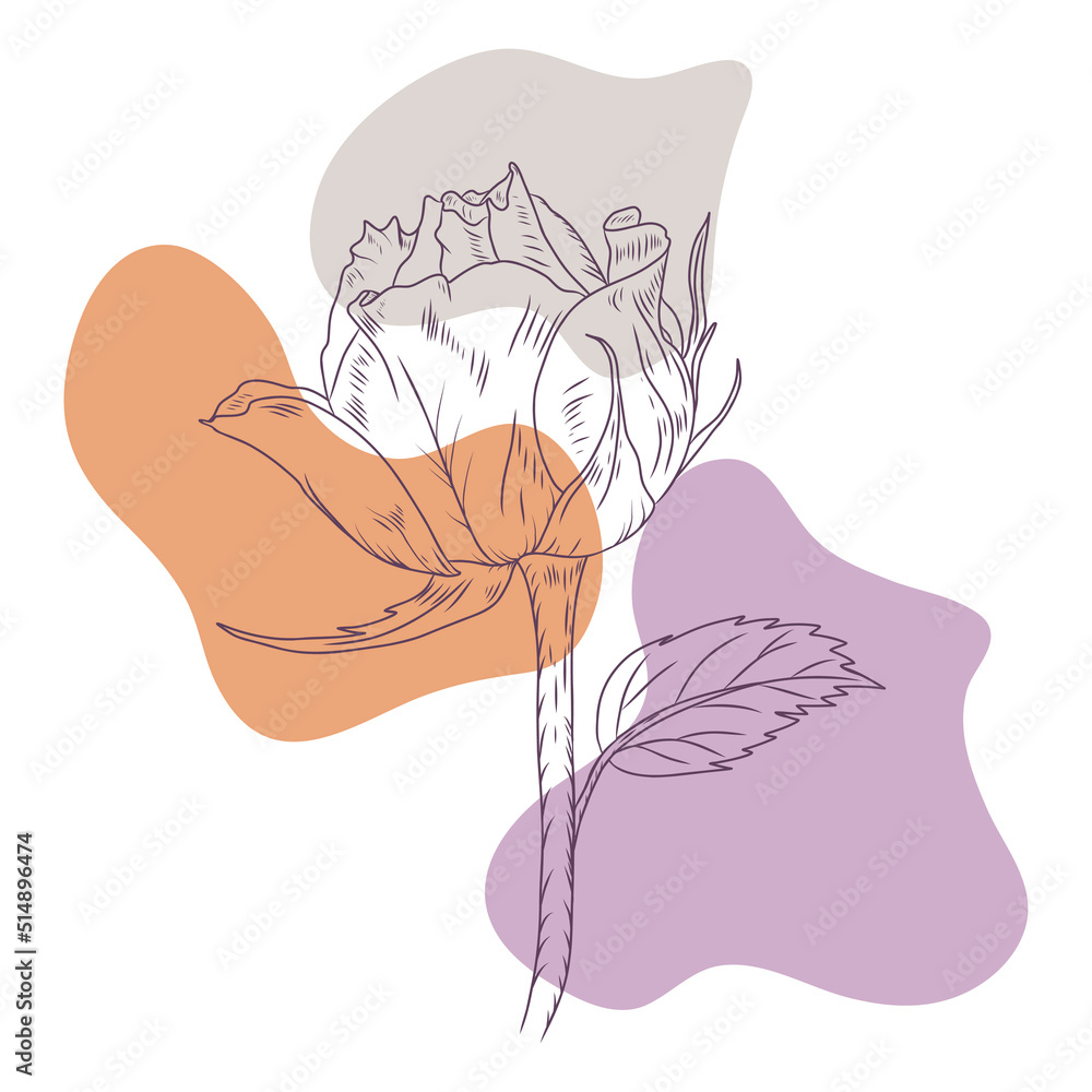 Sketch of a rose on an abstract background. Flower and spots. Simple ...