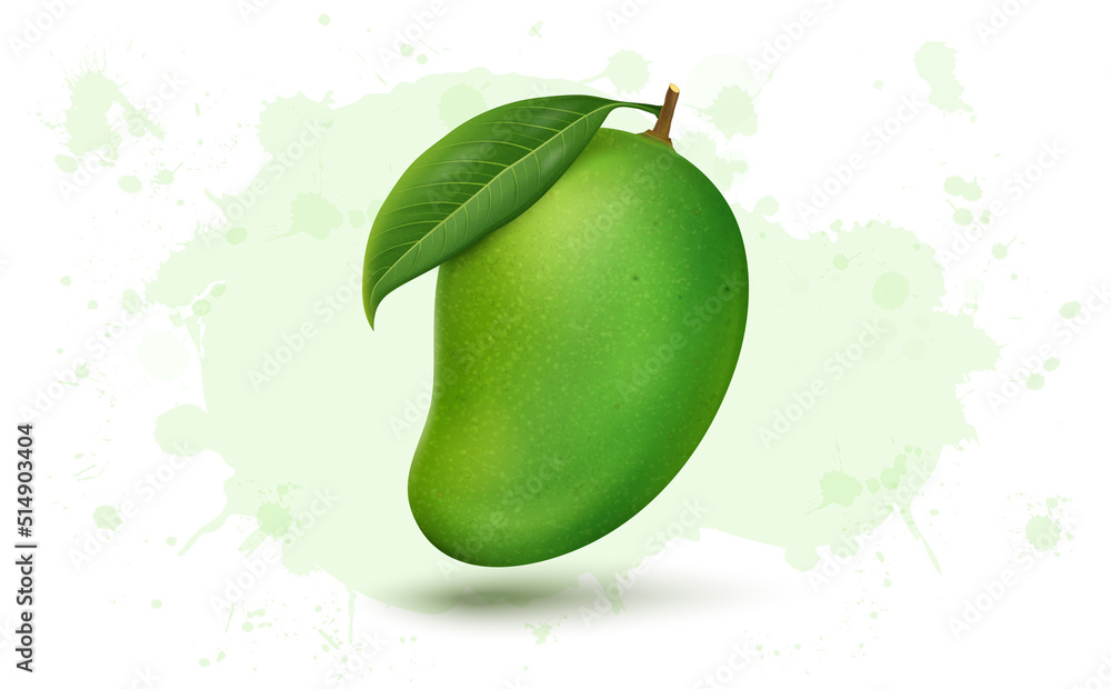 Fresh Green Mango vector illustration with green leave Stock Vector ...