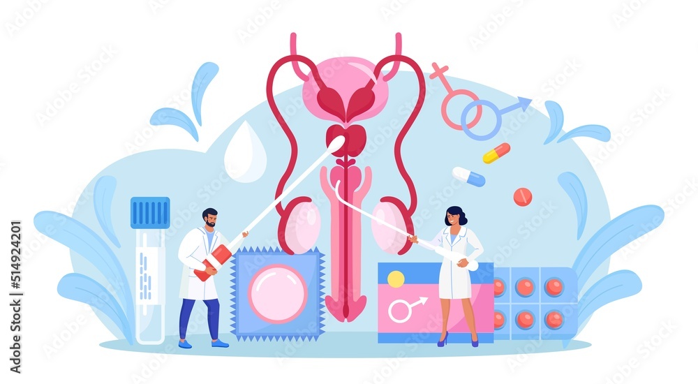 Urology concept. Urologist examining male reproductive system. Kidney ...