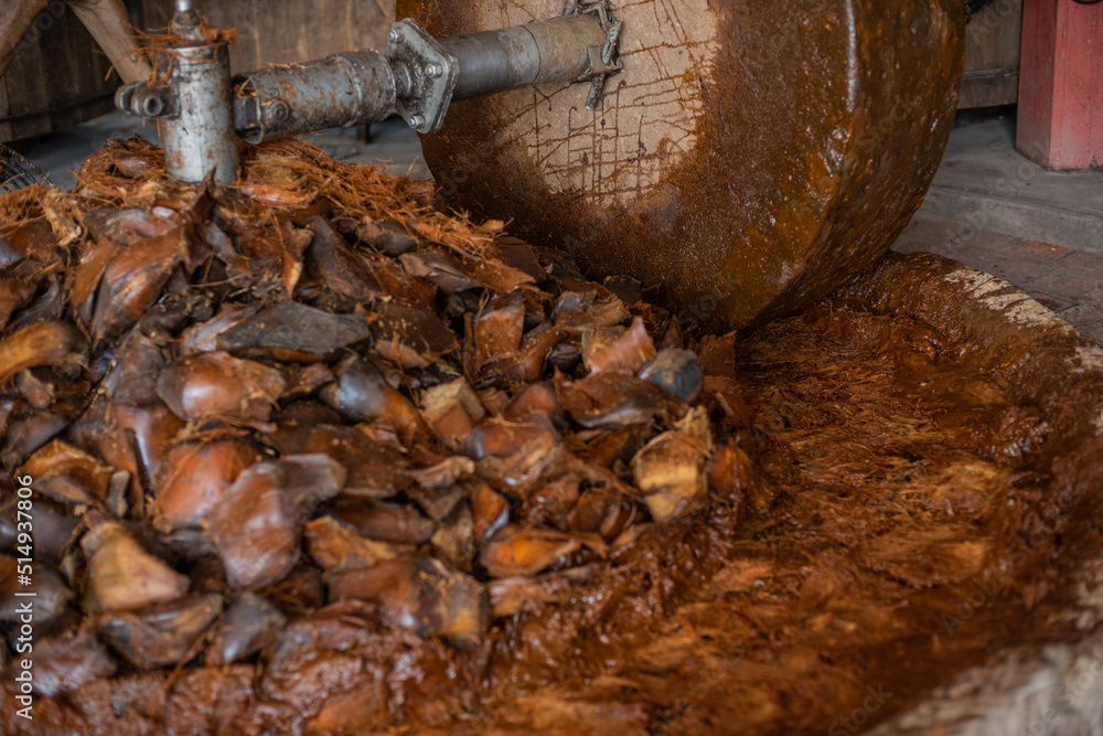 Proceso de elaboración de mezcal Stock Photo | Adobe Stock