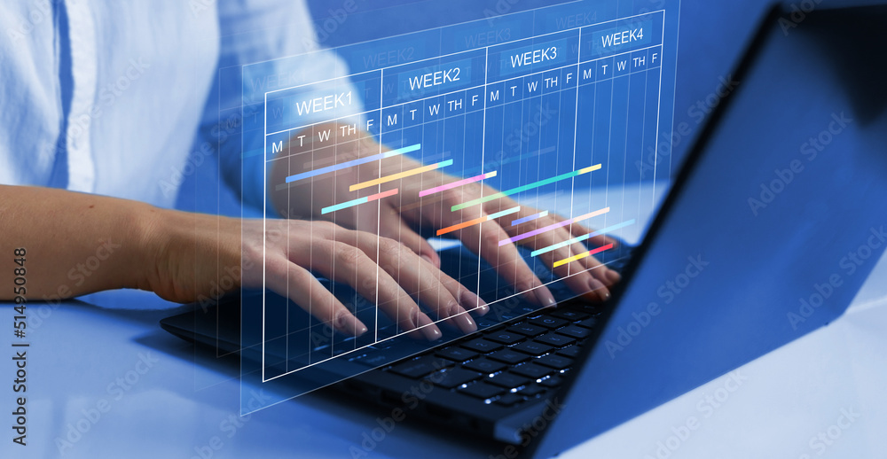 Project manager working on laptop and updating tasks and milestones ...