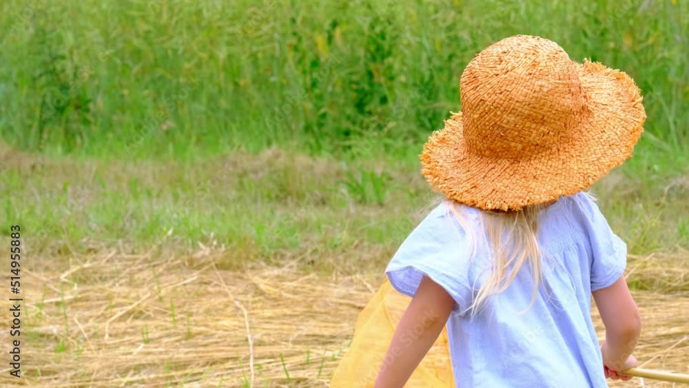 child 3 years old, girl in straw hat with entomological insect net ...