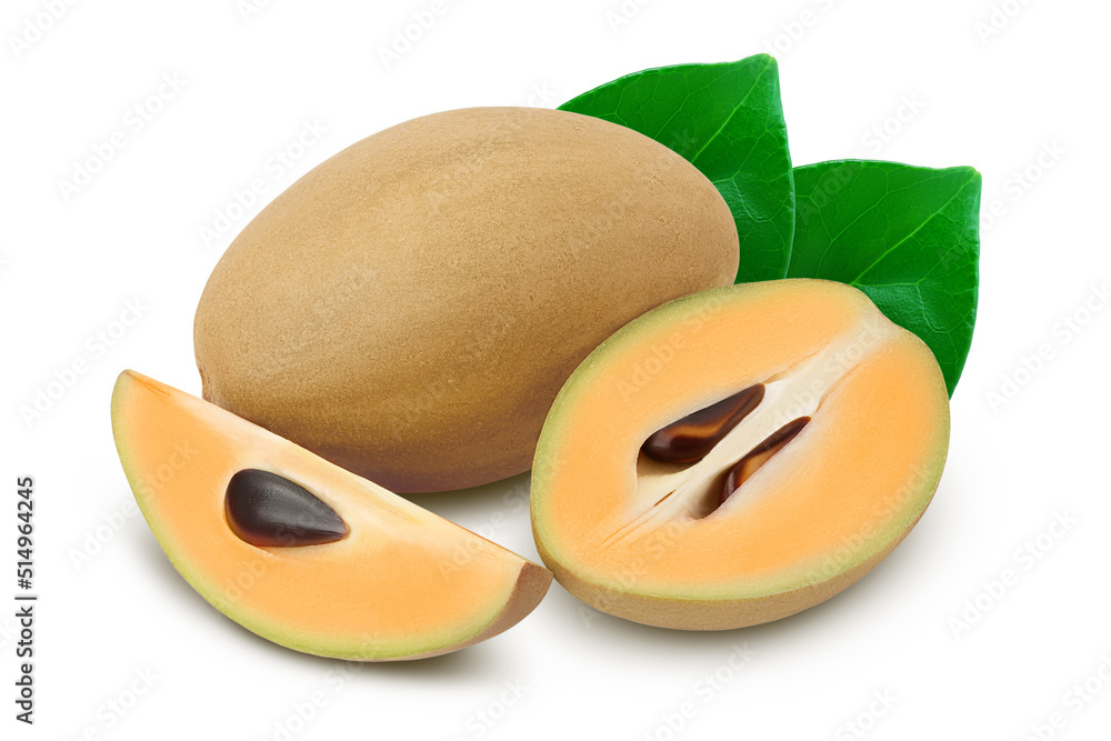 Sapodilla isolated on white background with full depth of field Stock ...