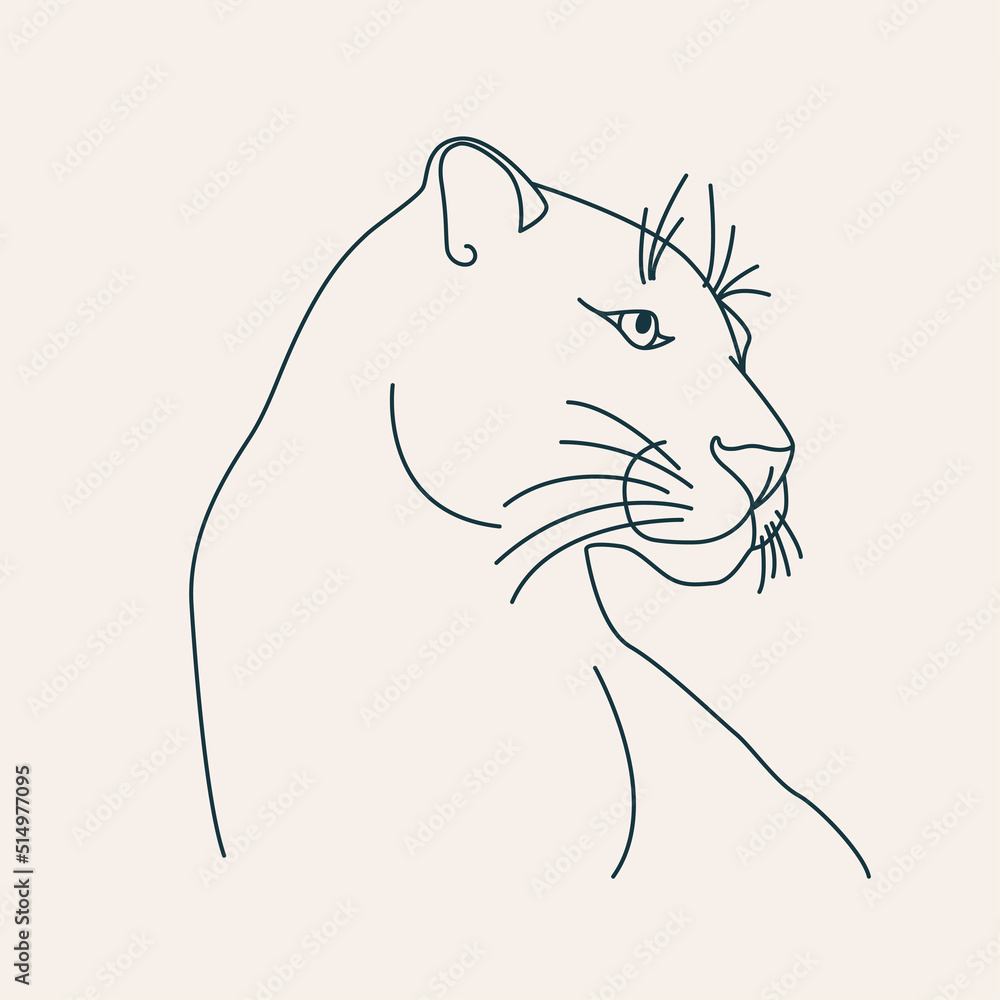 Puma Drawing Colored