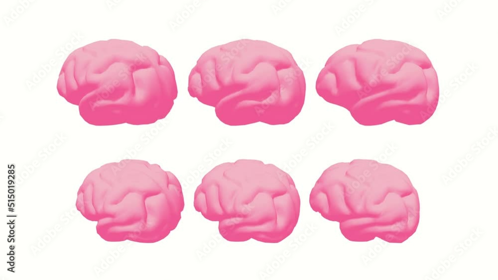 Human brain Anatomical Model. Motion Animation. Video available in 4K ...