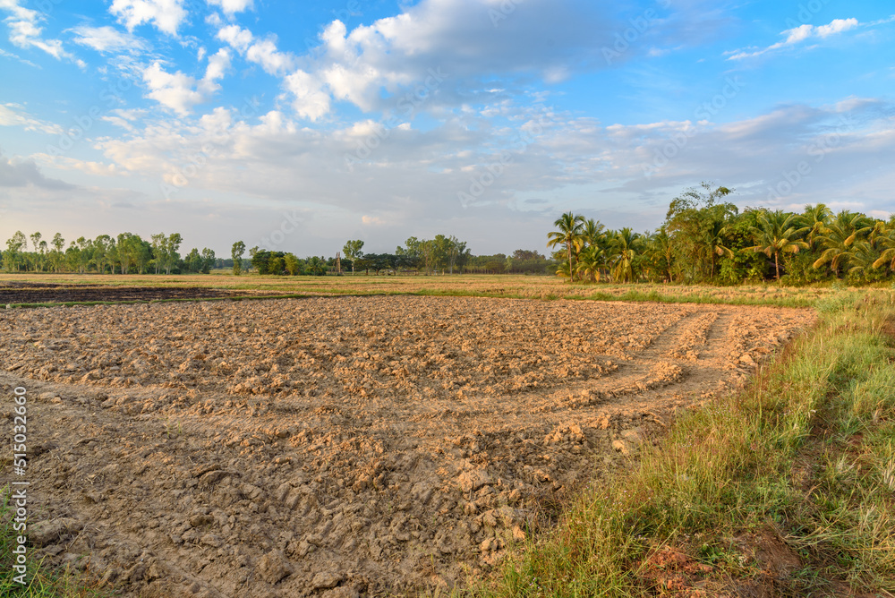 Soil preparation for crop production concept : Land preparation ...