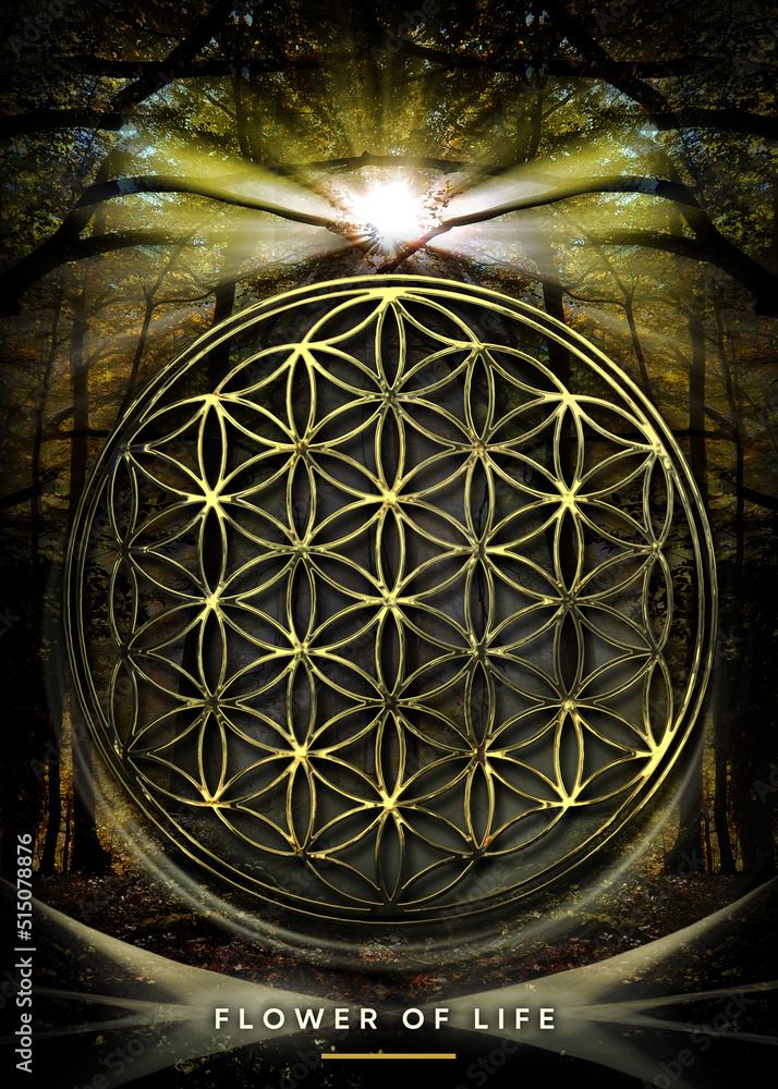 Poster, Wallpaper with Flower Of Life in beautiful, mystical nature ...