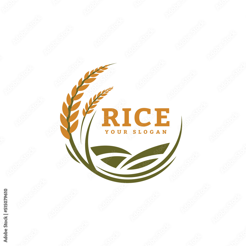 Rice or wheat grain agriculture logo design for your business and ...