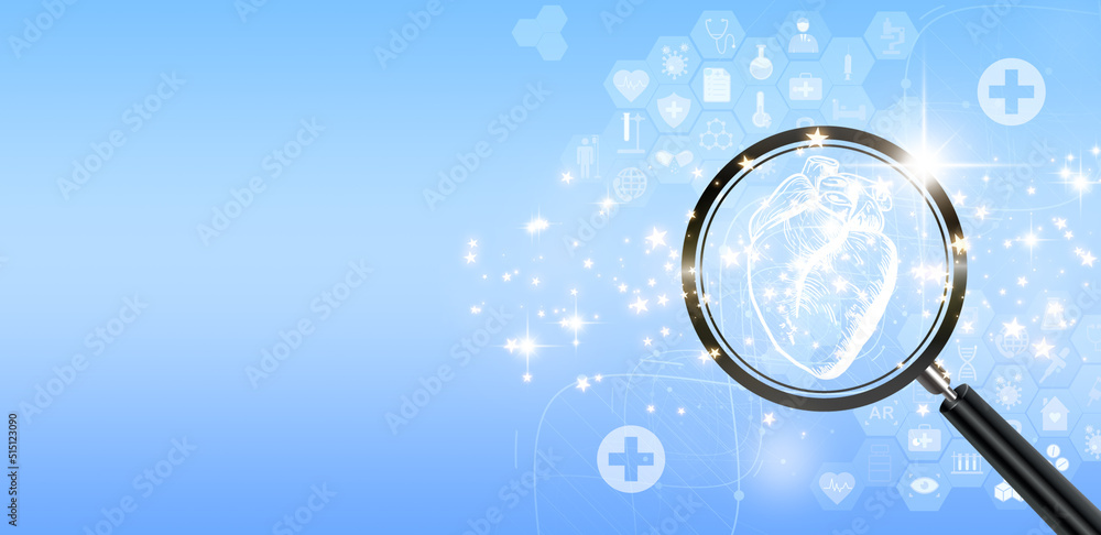 Virtual heart in magnifying glass is human organ with blue highlights ...