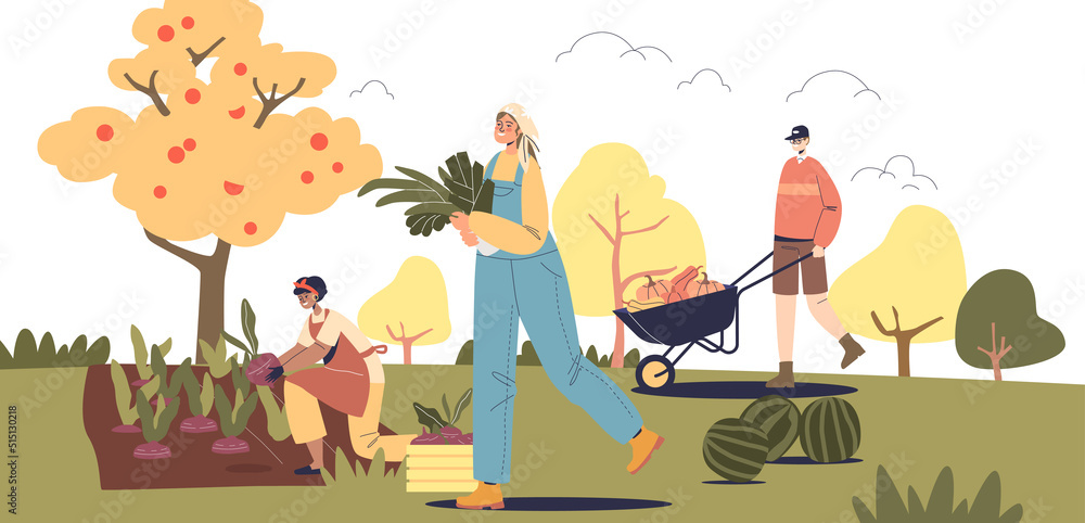 People harvesting. Group of young farmers picking harvest of fruits ...