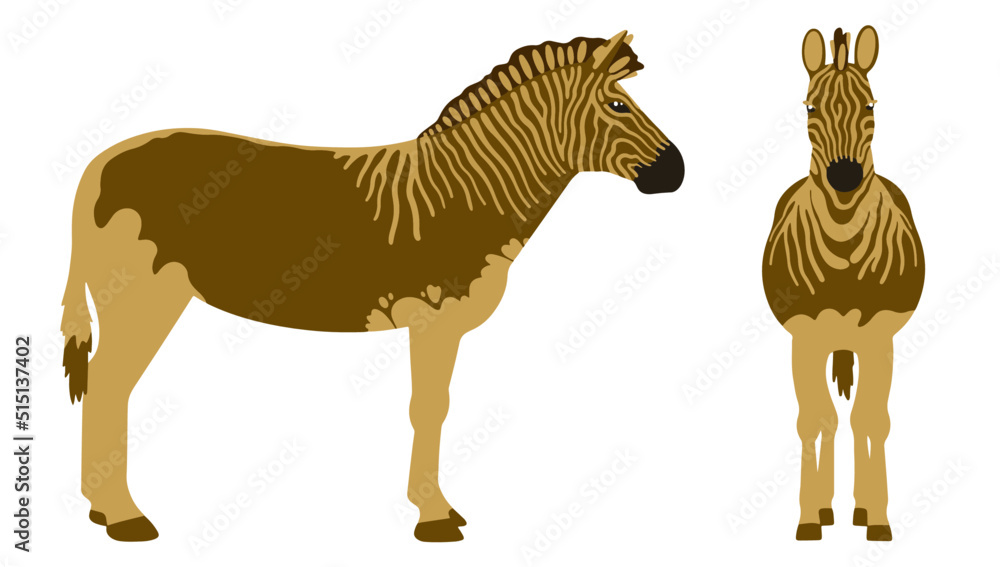 standing zebra quagga vector illustration. Extinct animals vector Stock ...