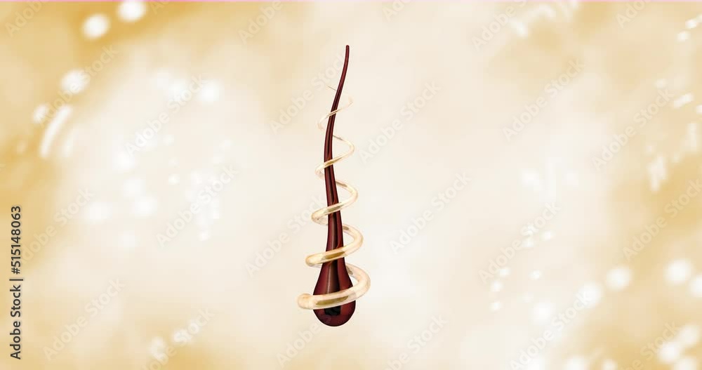 follicle care 3d rendering, animation of hair nutrition with golden oil ...