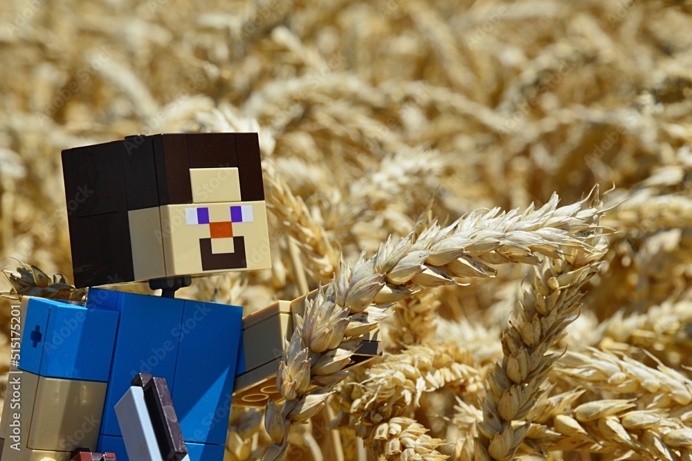 Foto de LEGO Minecraft large figure of Steve examining mature wheat ...