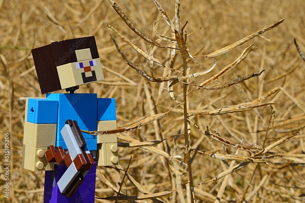 LEGO Minecraft large figure of Steve smiling at mature dried seed pods ...