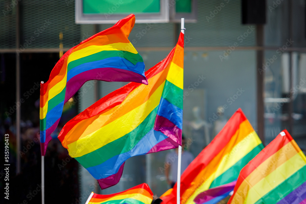 Many waving LGBT gay pride flags at a solidarity march. Stock Photo ...