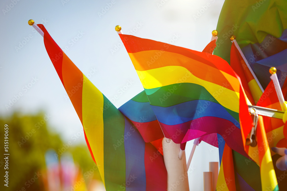 Many waving LGBT gay pride flags at a solidarity march. Stock Photo ...