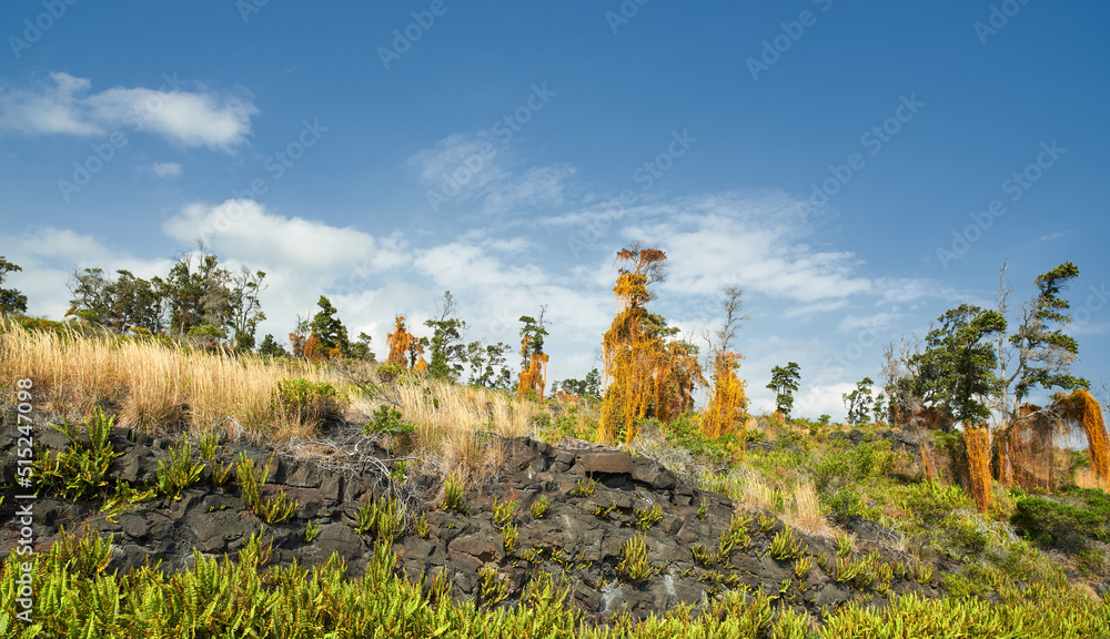 The worlds largest volcano Mauna Loa in Hawaii, Big Island, Hawaii, USA ...