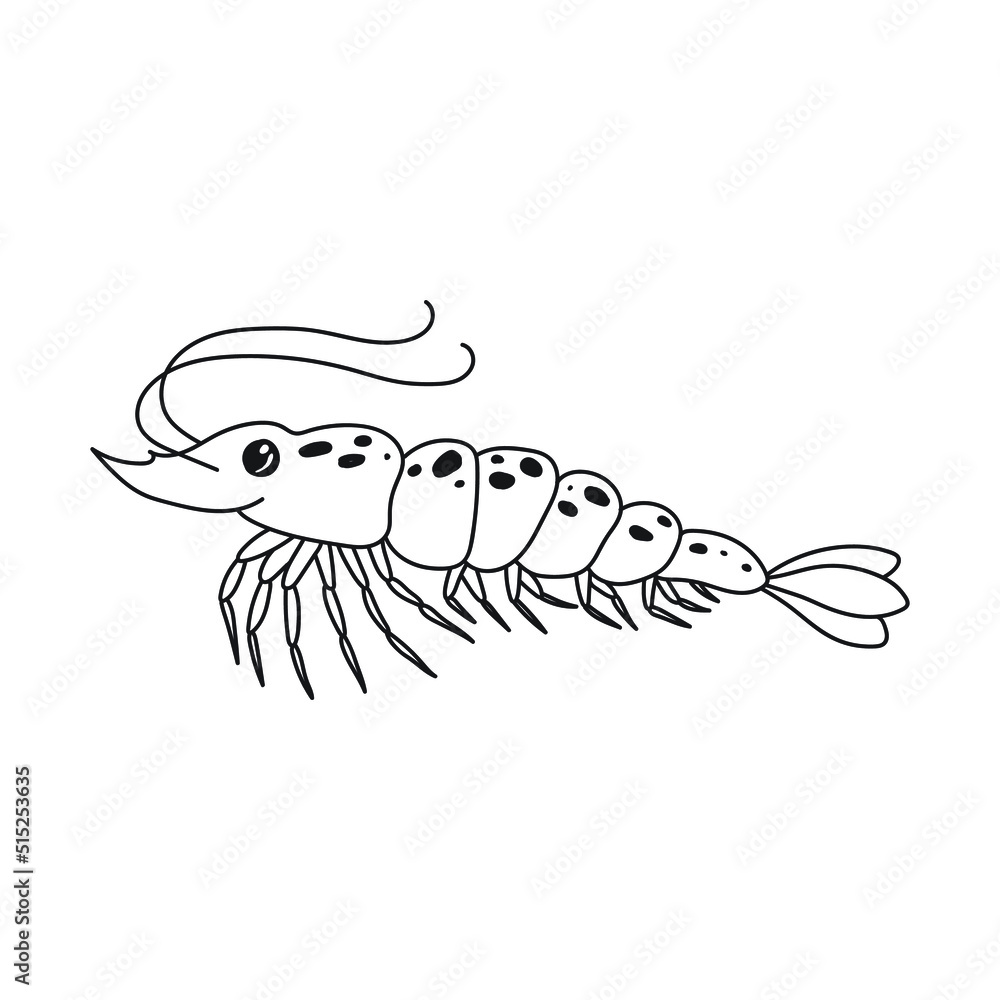 Black shrimp. contour doodle drawing of a marine crustacean. Cute hand ...