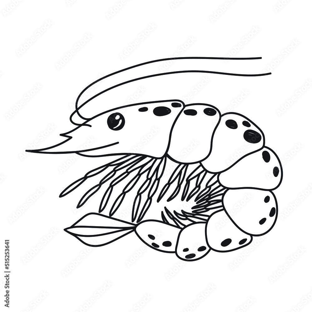 Black shrimp. contour doodle drawing of a marine crustacean. Cute hand ...