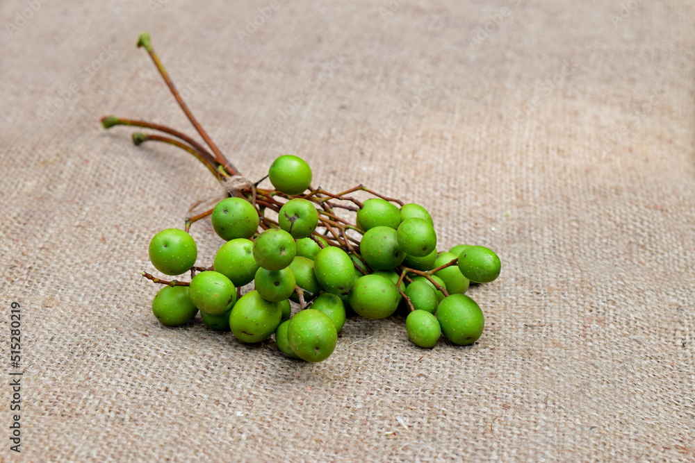 Neem tree's seeds on jute fabric background. Neem plant's fruits ...