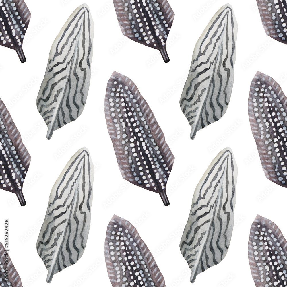 Seamless pattern watercolor black bird feather with stripe on white ...