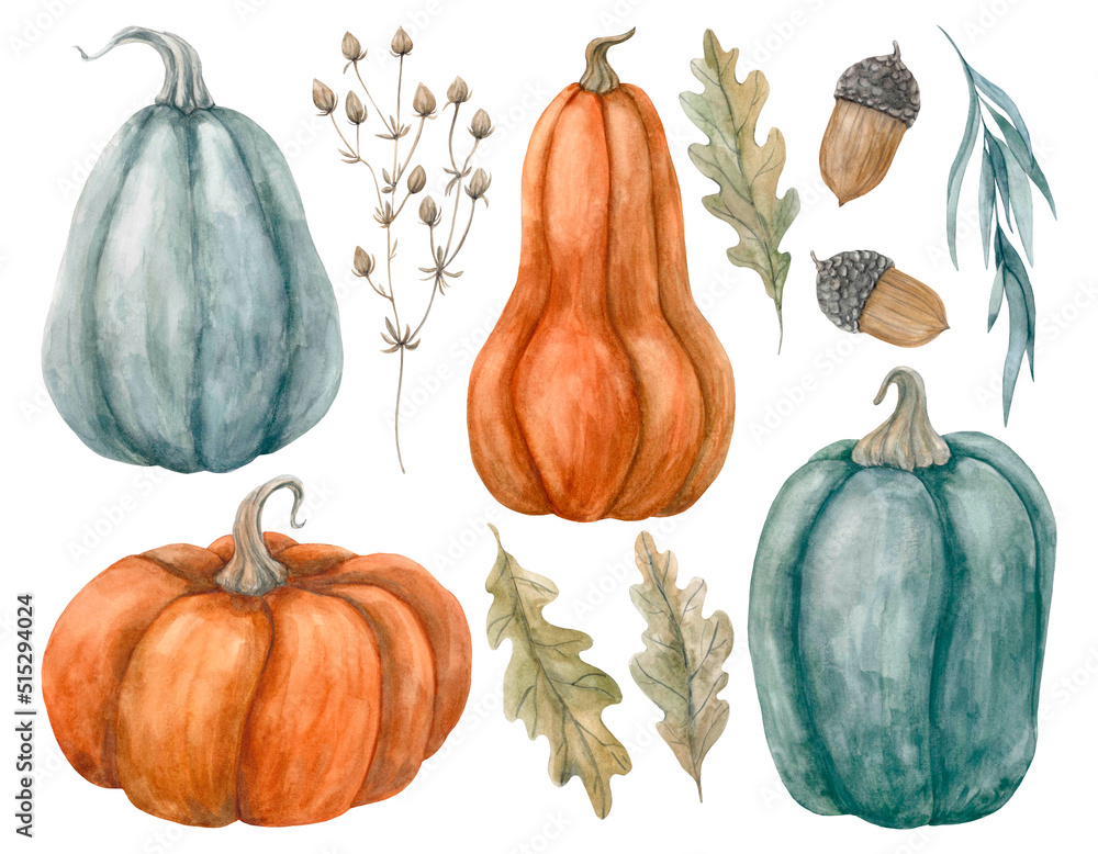 Set of elements of autumn isolated on a white background. Pumpkins of ...