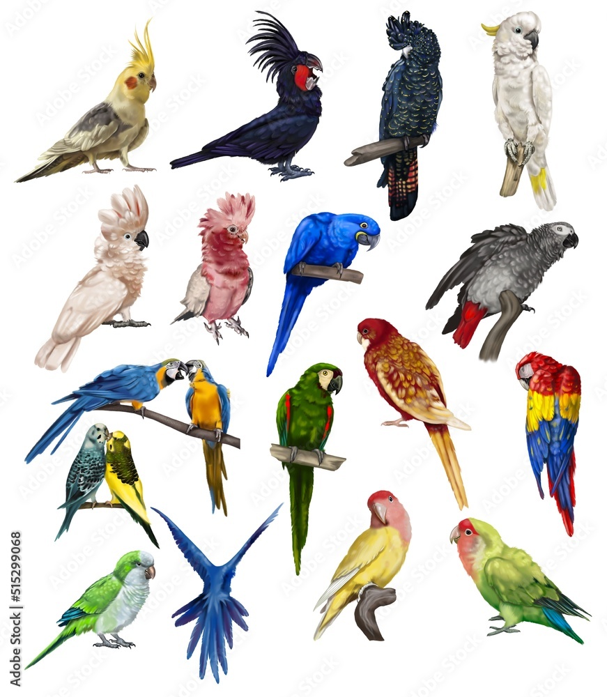 Parrot List