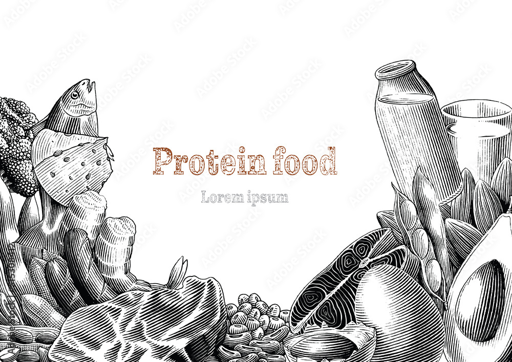 Protein food hand drawing engraving style clip art Stock Vector | Adobe ...