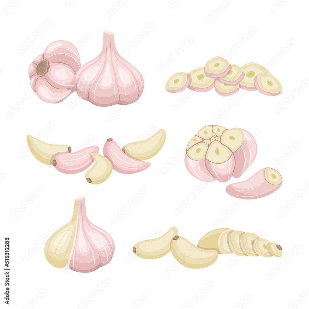 Cloves and pieces of garlic vector illustrations set. Collection of ...