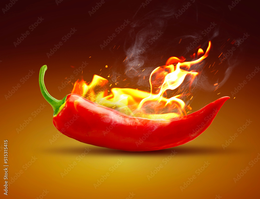 Chilli peppers with fire, spicy chili. Fresh red chilli pepper in fire ...