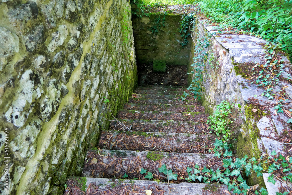 A flight of old stone steps covered in leaves and moss, leading to an ...