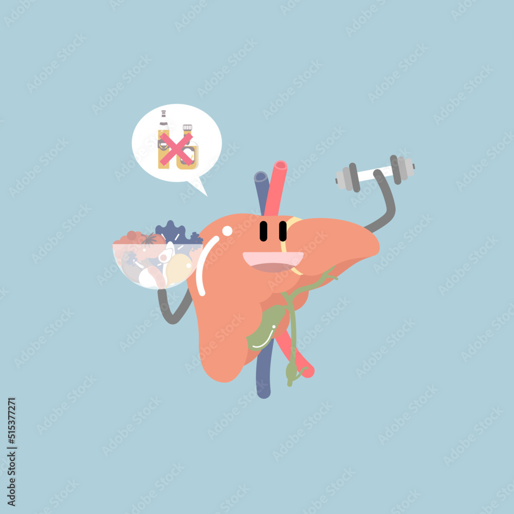 healthy liver, internal organs anatomy body part nervous system ...