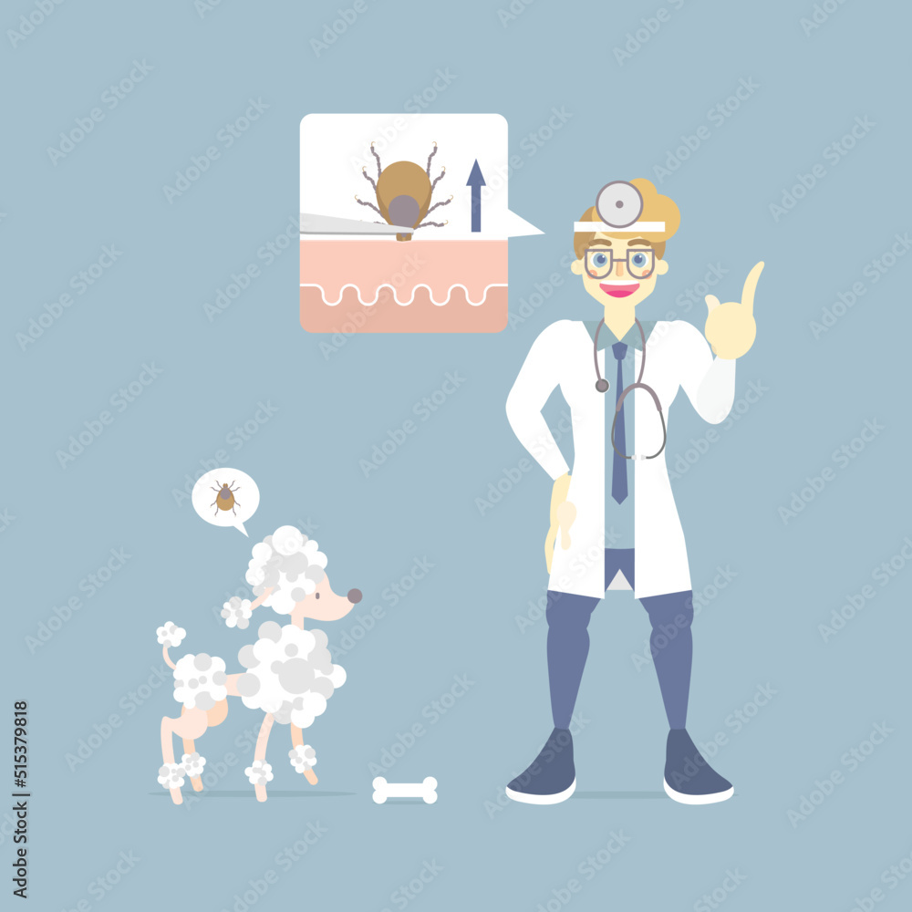 veterinary medicine and lovely animal health care with doctor and ...