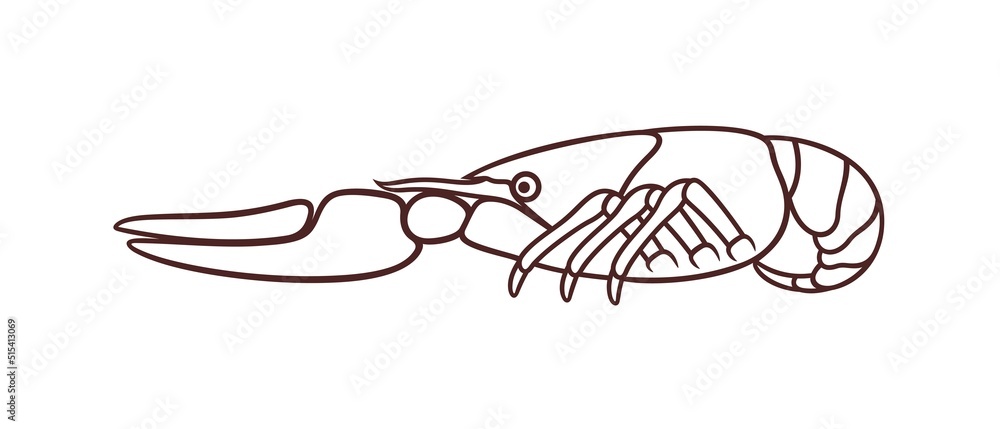 Crayfish outline. Isolated crayfish on white background Stock Vector ...