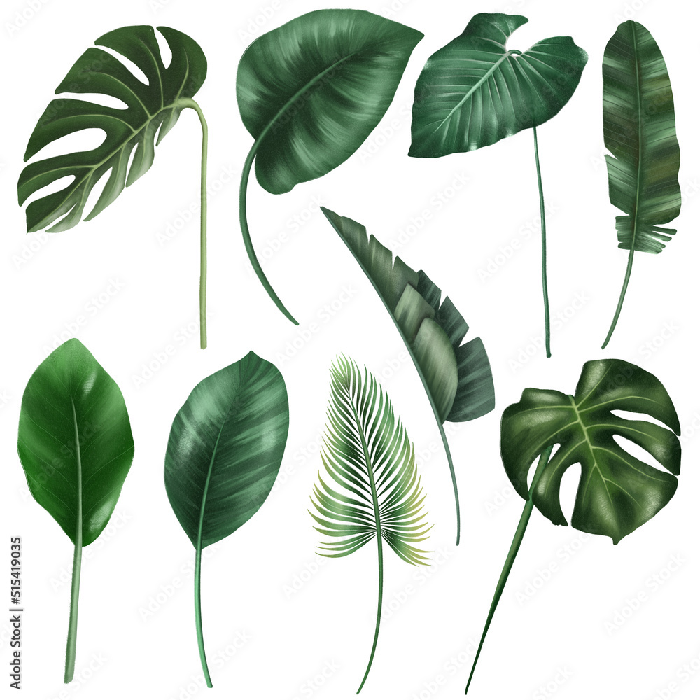 Set of green tropical leaves, tropical floral clipart, isolated ...
